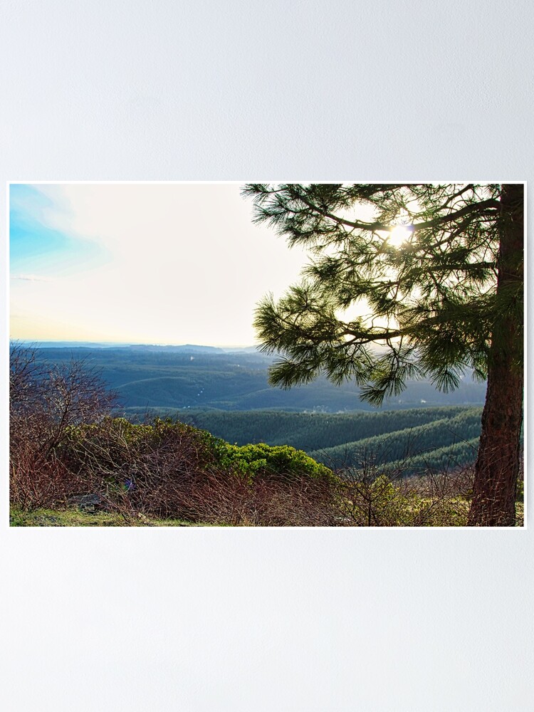"Pine Tree Mountain View" Poster for Sale by Adventuredad530 | Redbubble