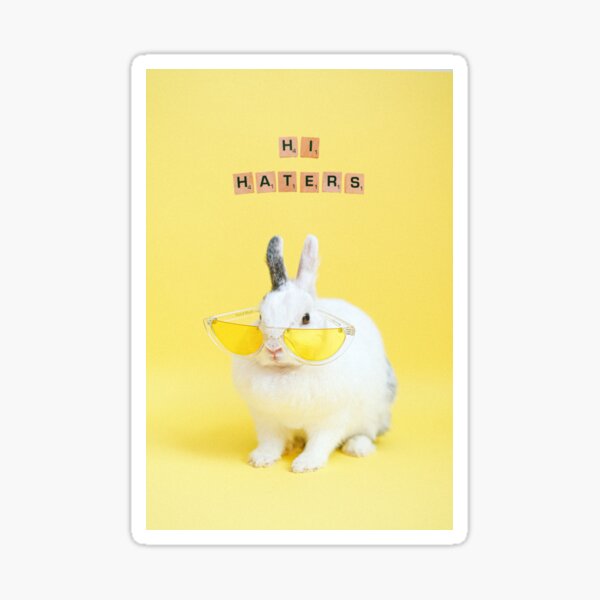 "Bunny dear sweet" Sticker for Sale by GaunerHopSalon | Redbubble