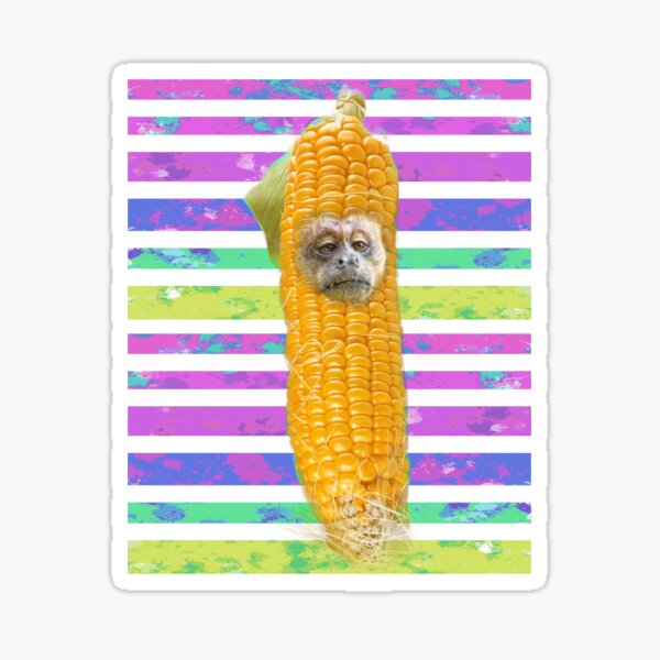 "Corn monkey - Corn on the cob capuchin monkey" Sticker for Sale by ...