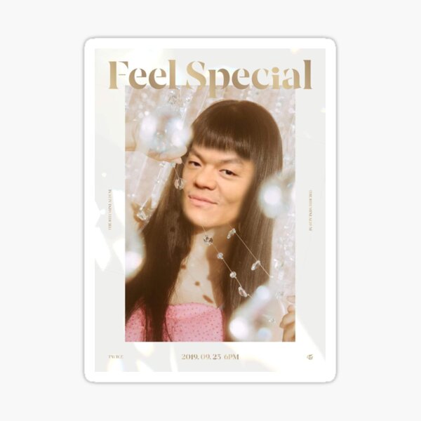 "JYP Feel Special meme" Sticker for Sale by FruityFurrylol | Redbubble