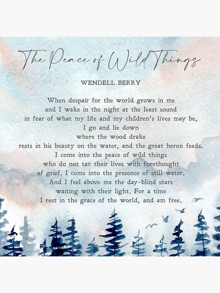 "The Peace of Wild Things | Wendell Berry | Poem | Hope | Comfort ...