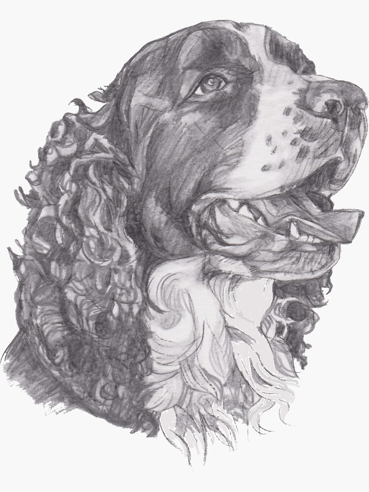 "Classic English Springer Spaniel Dog Profile Drawing" Sticker by ...