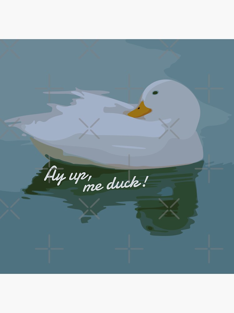 "Ay up, me duck! British dialect slang illustration" Sticker for Sale ...