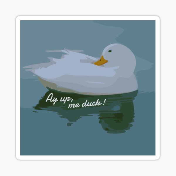 "Ay up, me duck! British dialect slang illustration" Sticker for Sale ...