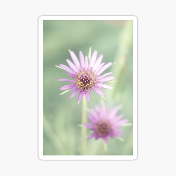 "Purple Pastel Flowers" Sticker for Sale by DeborahMcGrath | Redbubble