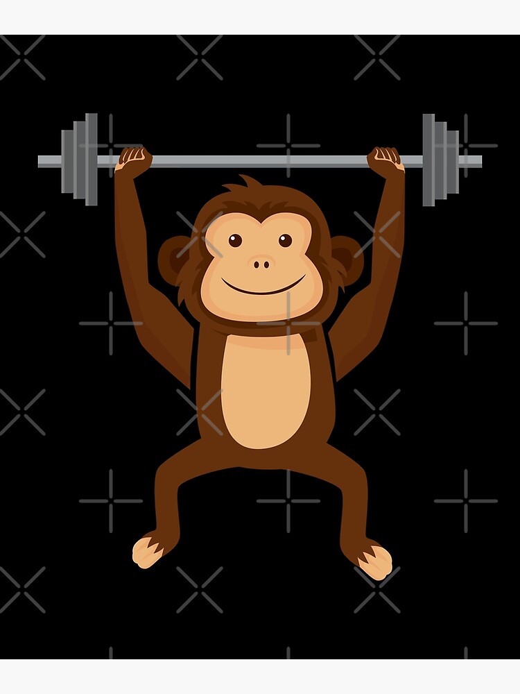 "Weightlifting Body Builder Fitness Monkey, Gym Enthusiast, Funny ...