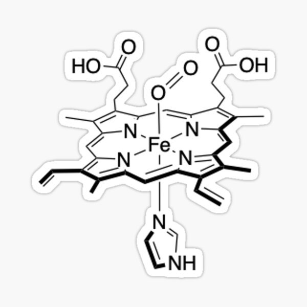 "Hemoglobin" Sticker for Sale by Chemistry101 | Redbubble