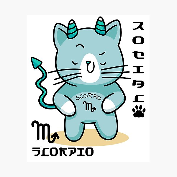 "Cat Scorpio, Cat owner was born in Scorpio Astrology , birthday Cat ...