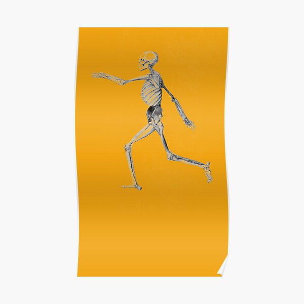 Poster « Squelette humain, vue latérale (proche de l'étude finale pour ...