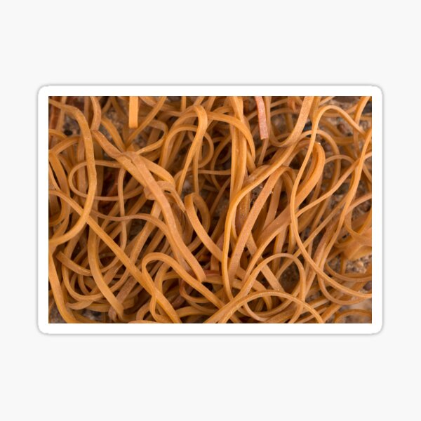 "Elastic Band Background" Sticker for Sale by Simon1965 | Redbubble