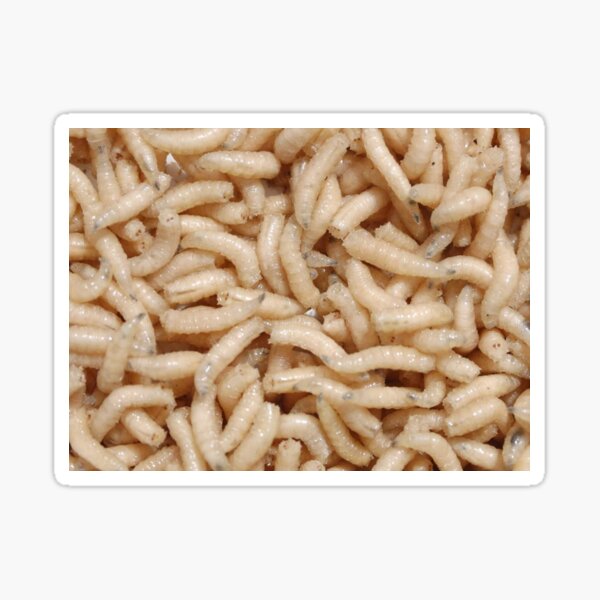 WinkyDoodle Shop | Redbubble