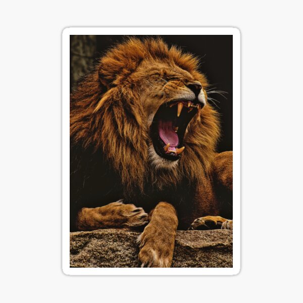 "Lion Roar" Sticker by Oliveirallan | Redbubble