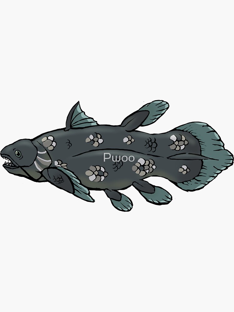 "Coelacanth" Sticker for Sale by Pwoo | Redbubble