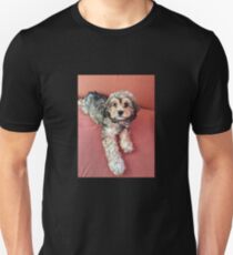 Cavapoo: Gifts & Merchandise | Redbubble