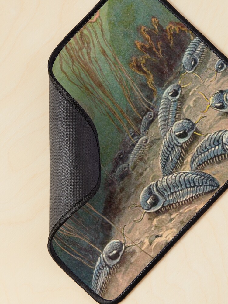 TRILOBITES MARINE DINOSAUR RETRO VINTAGE Mouse Pad