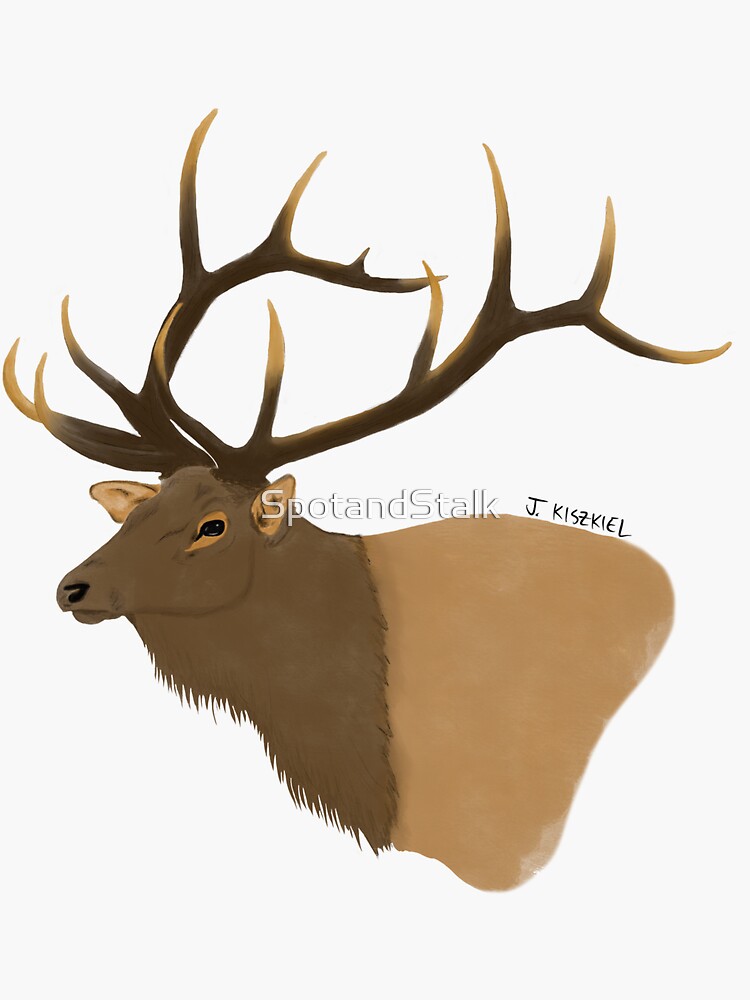 "Bull Elk" Sticker for Sale by SpotandStalk | Redbubble