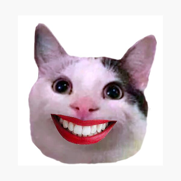 "polite smiling cat meme" Photographic Print for Sale by g-ia | Redbubble