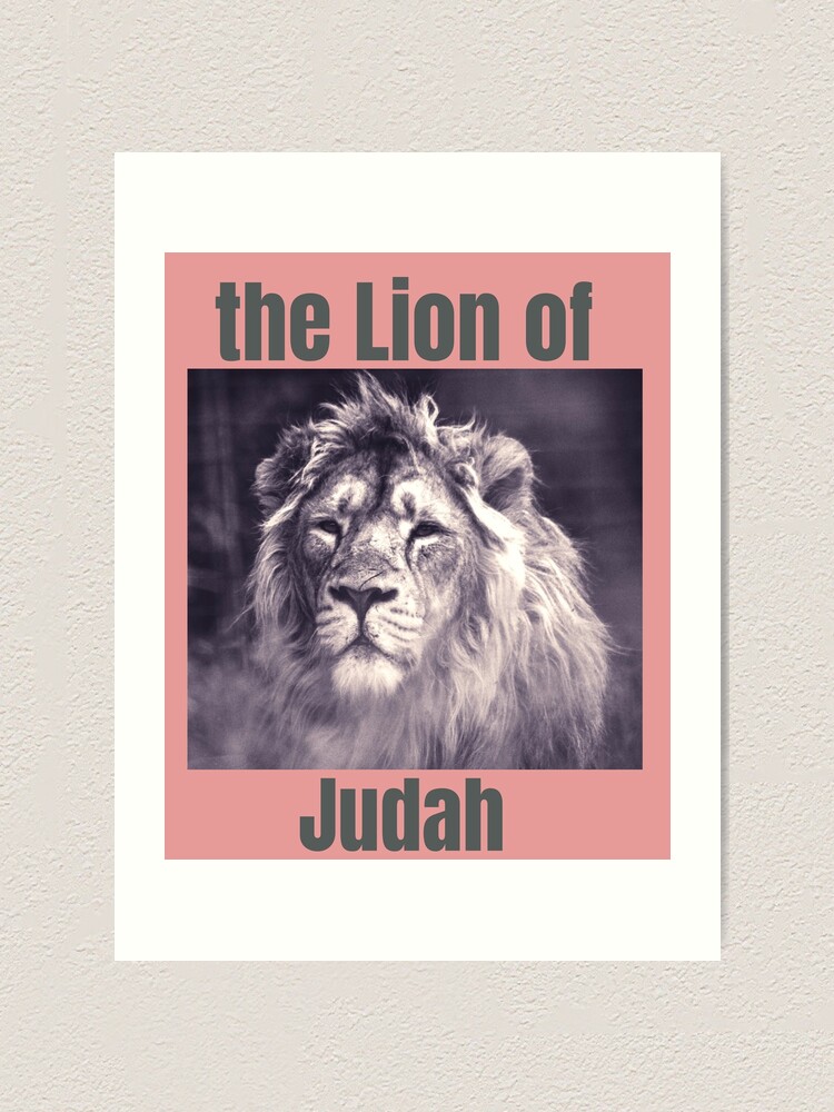 "The Lion Of Judah a symbol representing Jesus as strong powerful and ...