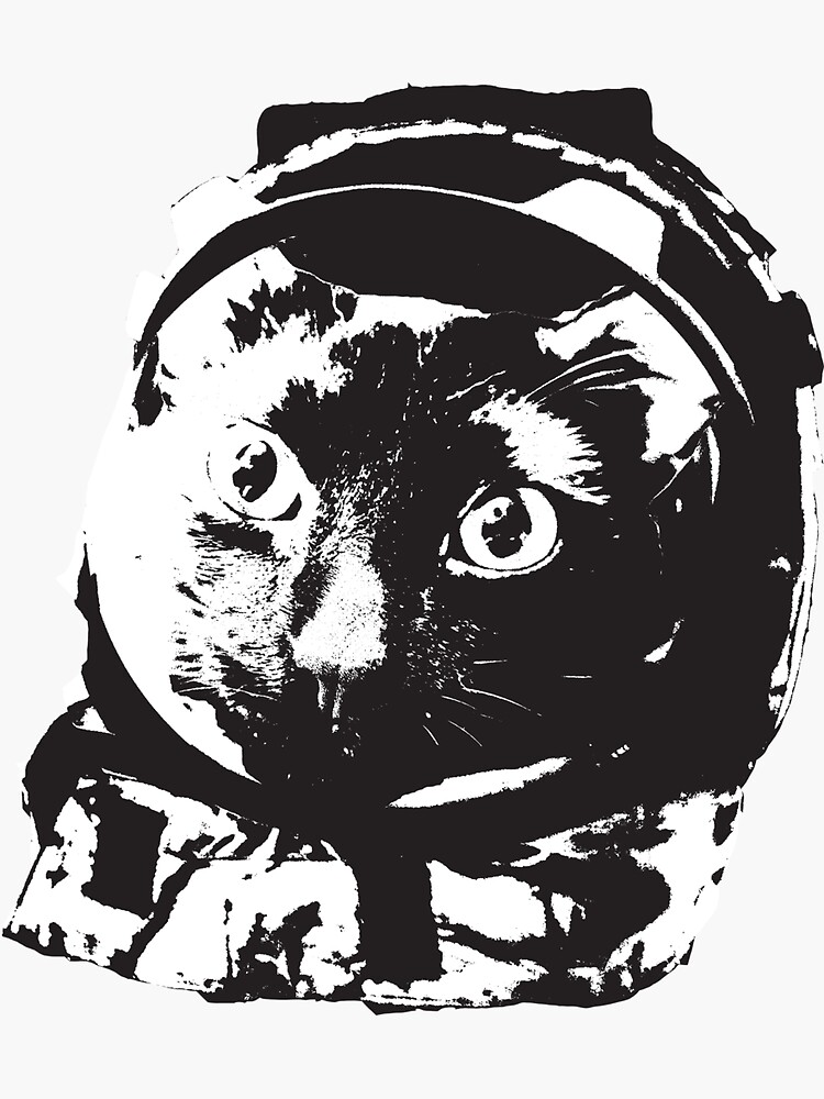 "Astro Cat!" Sticker for Sale by phaeton83 | Redbubble