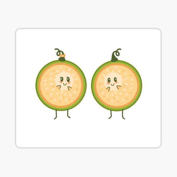 "Two Cute Melons " Sticker for Sale by 13rosbur | Redbubble