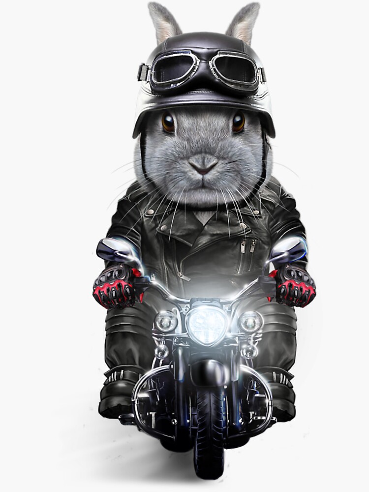 "Netherland Dwarf Rabbit Ride Motorcycle " Sticker for Sale by ...