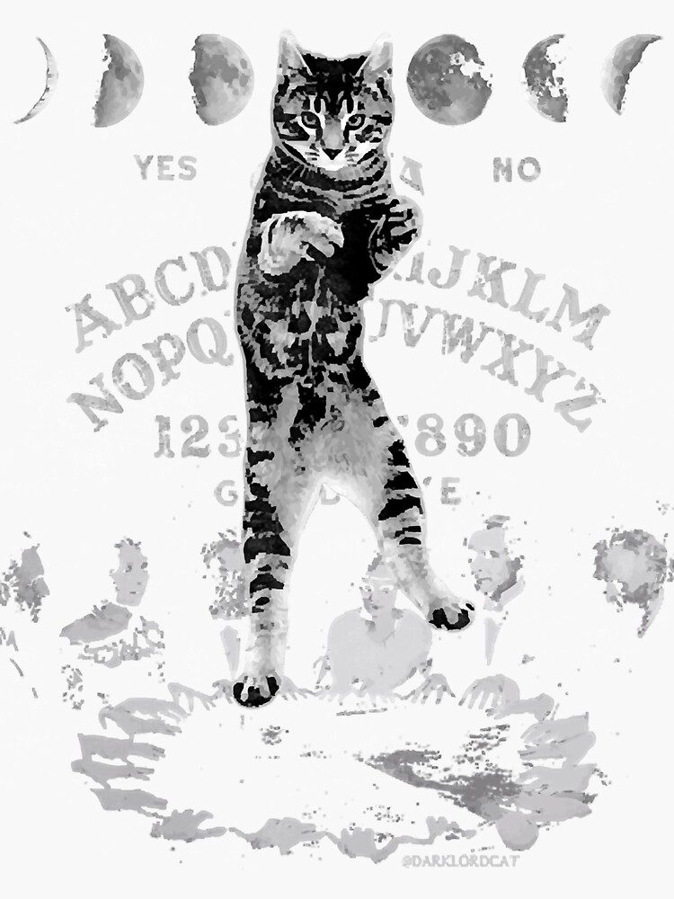 "Seance cat " Sticker for Sale by hirthe237 | Redbubble