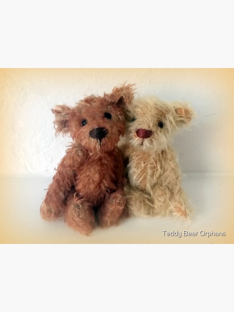 "Bear Pals. Handmade bears from Teddy Bear Orphans 'Barrett and Jarrett ...