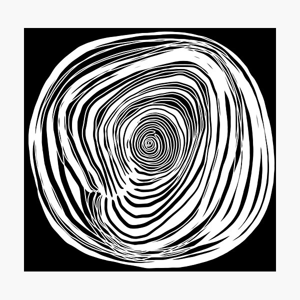 Fokus von Zeit und Raum - weiß und schwebend" Fotodruck von Flowerial ...