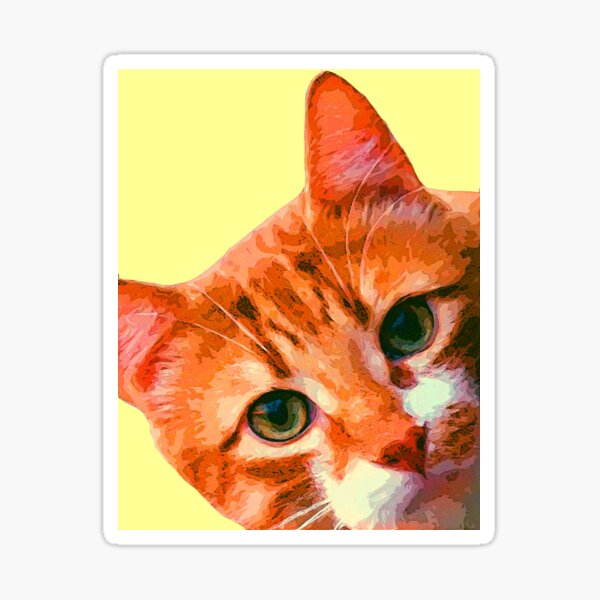 "Сolor print ginger cat" Sticker for Sale by artdragongift | Redbubble