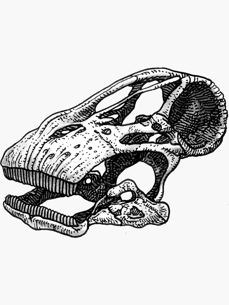 "Nigersaurus" Sticker for Sale by SharpSticks | Redbubble