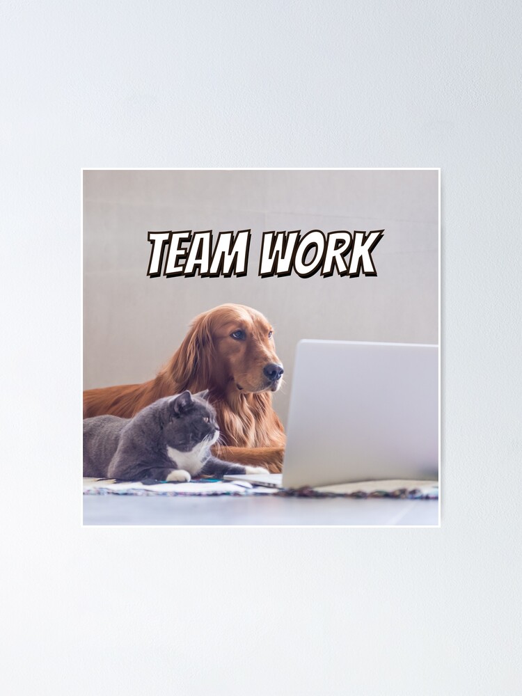 "Team Work Dog and Cat Friends" Poster for Sale by crazyzoo | Redbubble