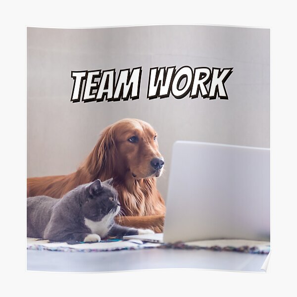 "Team Work Dog and Cat Friends" Poster for Sale by crazyzoo | Redbubble