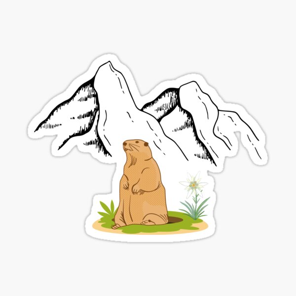 "Marmot in Tirol" Sticker for Sale by Acoustic9cetra | Redbubble