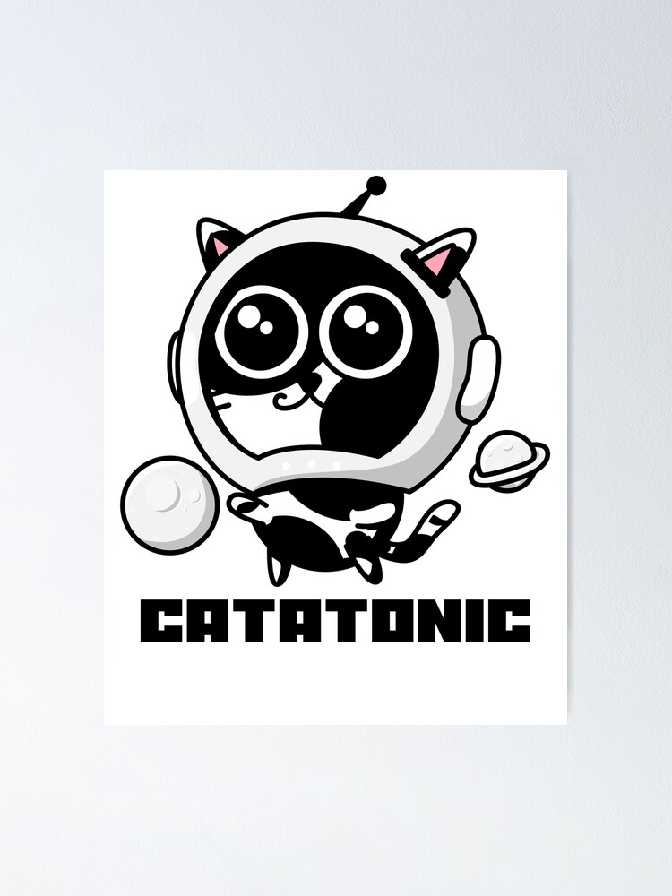 "Funny Space Cat " Poster for Sale by RD2-Designs | Redbubble