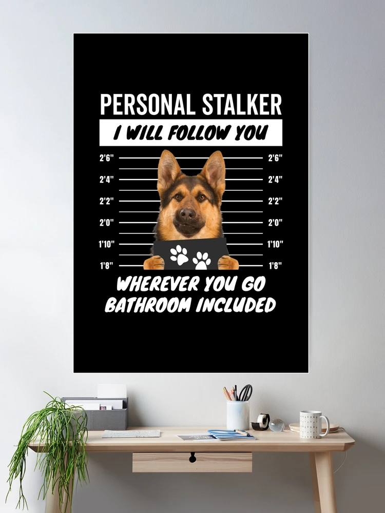 Stalker Dog Memes