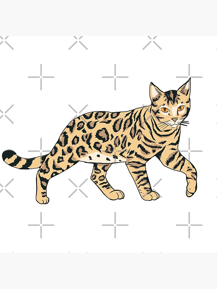 "Margay Cat" Poster by artado | Redbubble