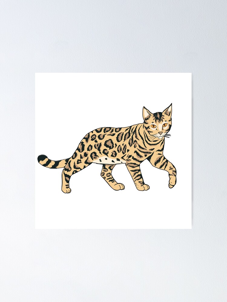 "Margay Cat" Poster by artado | Redbubble