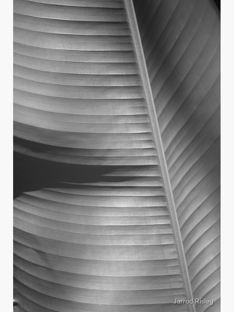 "Grayscale Banana Leaf" Poster for Sale by jarule723 | Redbubble