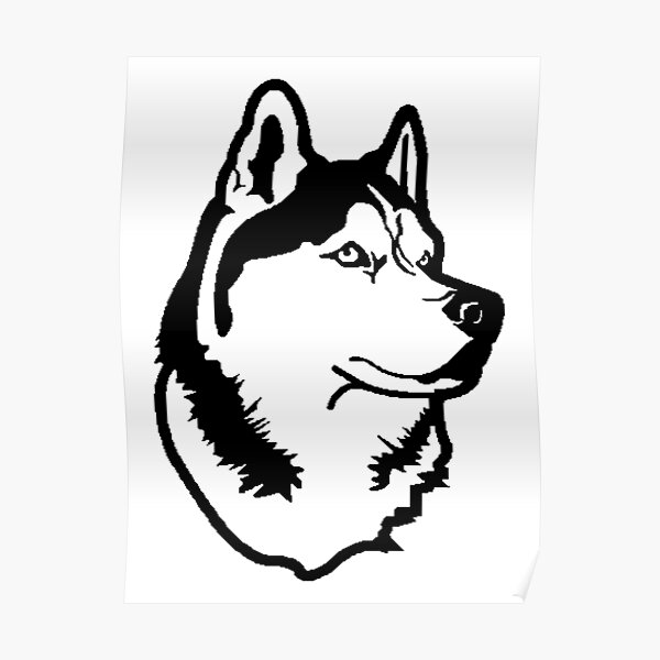 "Husky Face" Poster by Mounirmekkouk | Redbubble