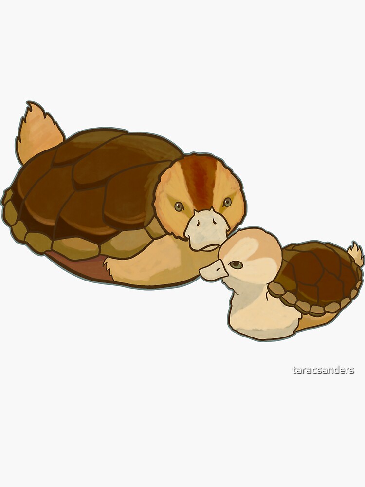 "Turtle Ducks" Sticker for Sale by taracsanders | Redbubble