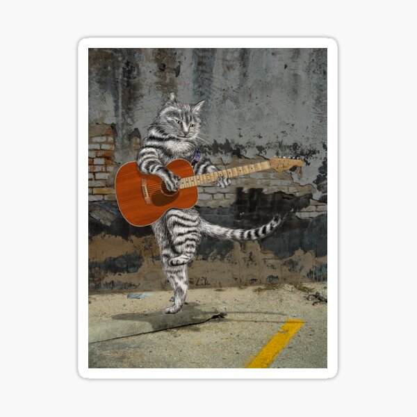 "Acoustic Cat " Sticker for Sale by oz10 | Redbubble