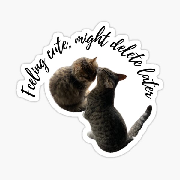 "Feeling cute might delete later" Sticker for Sale by Oriana-Designs ...