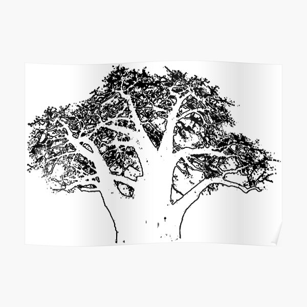 "Adansonia digitata" Poster by mcthoughtful | Redbubble