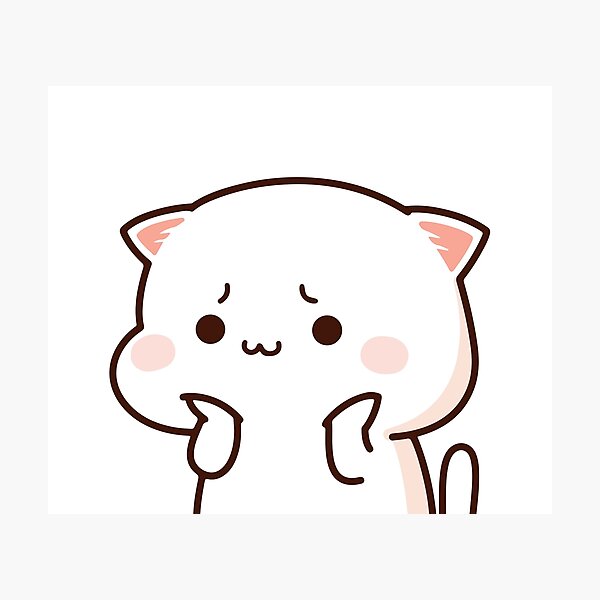 "CUTE PEACH CAT" Photographic Print for Sale by dev-ilyass | Redbubble