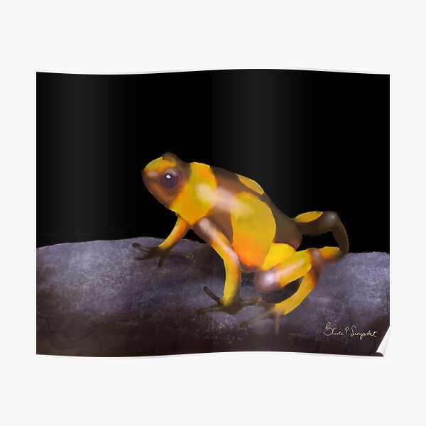 "Poison dart frog" Poster for Sale by CreativePetlin | Redbubble
