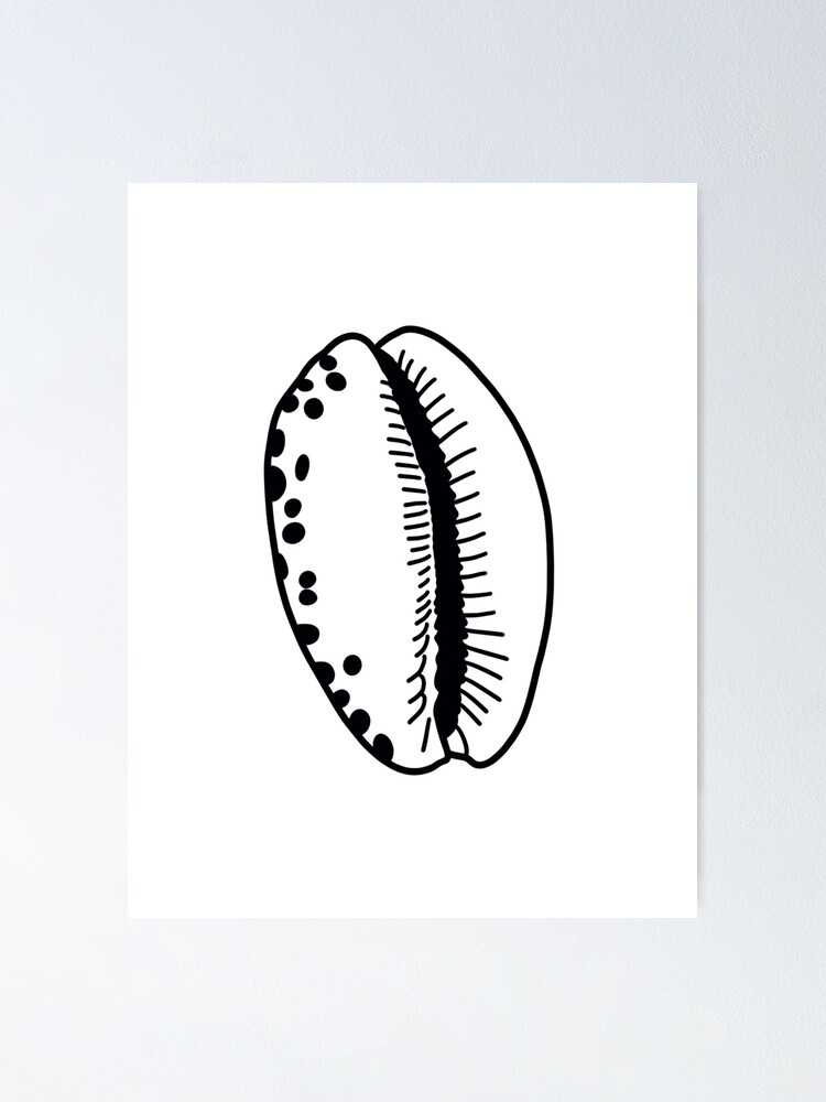 "Cowrie Seashell Simple Line Drawing" Poster for Sale by makesbymiss ...