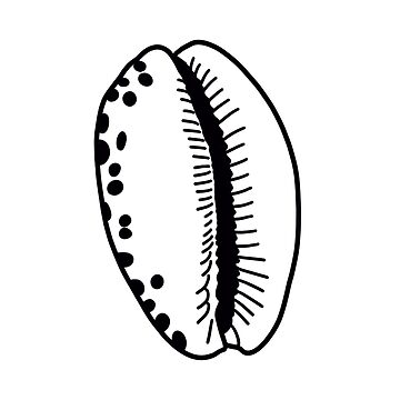 "Cowrie Seashell Simple Line Drawing" Sticker for Sale by makesbymiss ...