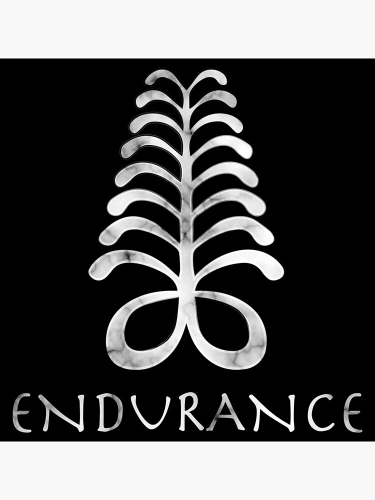 "West Africa Adinkra AYA Fern meaning ENDURANCE" Photographic Print by ...