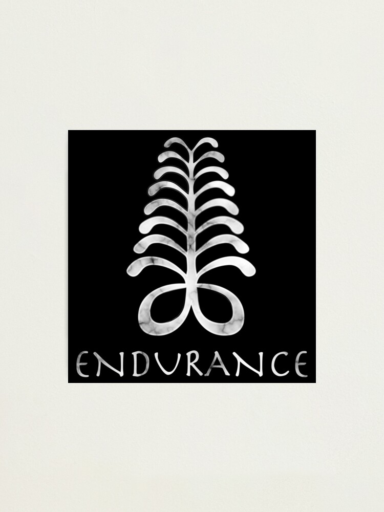 "West Africa Adinkra AYA Fern meaning ENDURANCE" Photographic Print by ...