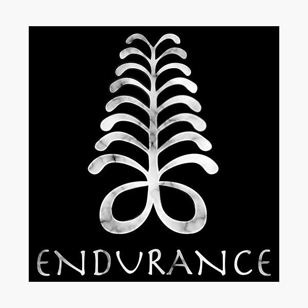 "West Africa Adinkra AYA Fern meaning ENDURANCE" Photographic Print by ...